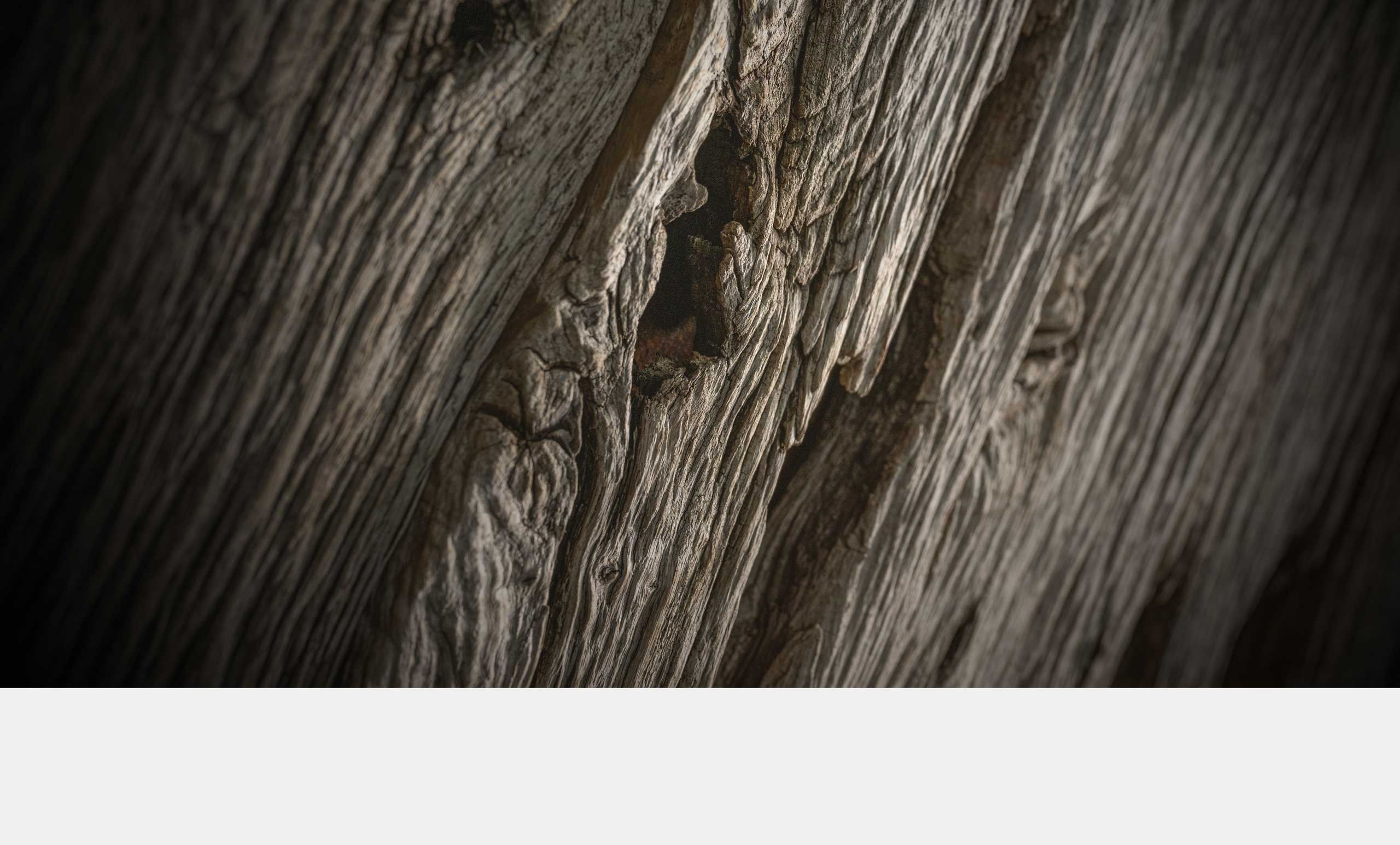 Design worlds - Old timber stories - Fennen Designtüren